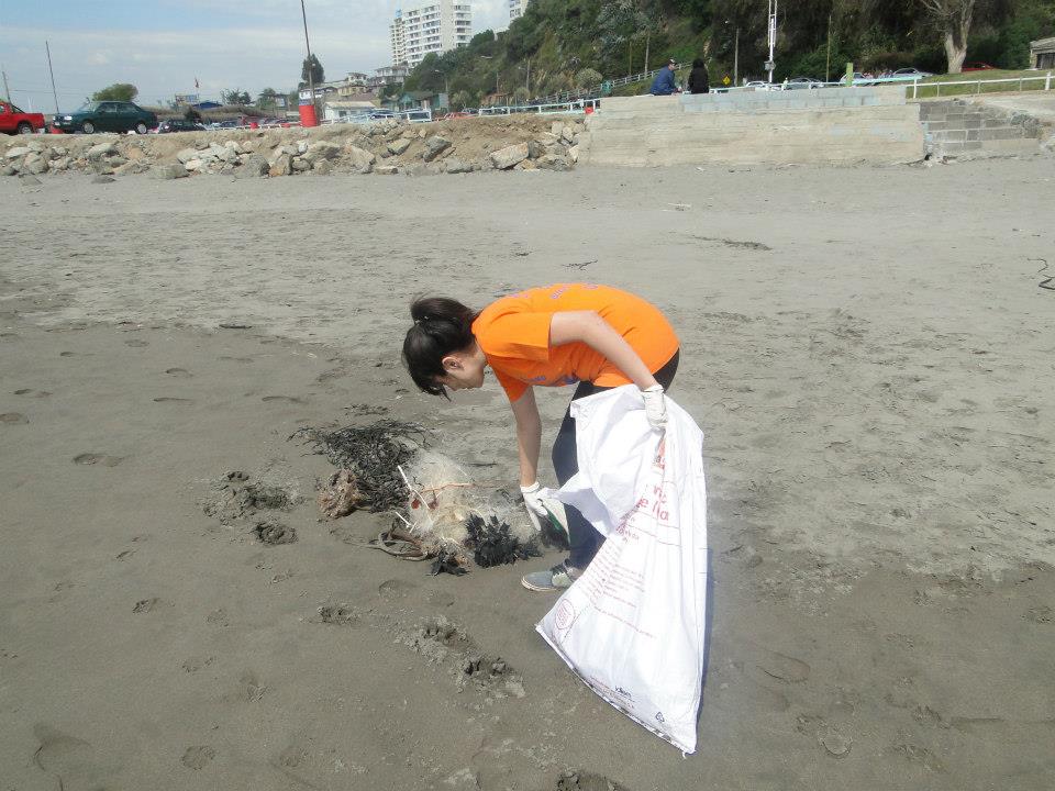 Limpieza de playas - Vinculación con el Medio UNAB